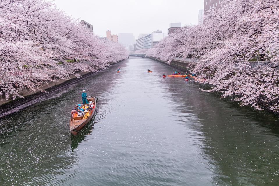 7 Must-See Spring Festivals In Japan To Experience In 2023