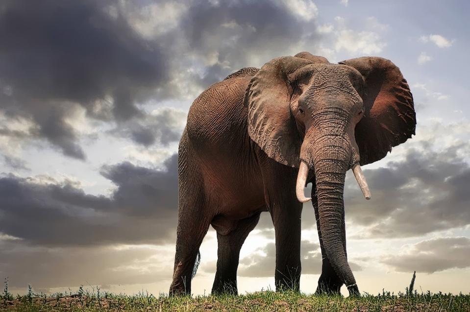 Google Brings PostgreSQL-Compatible AlloyDB To Multicloud, Data Centers ...