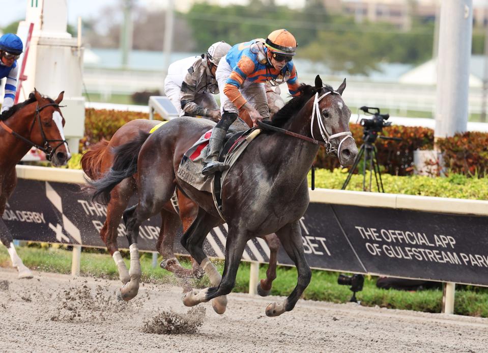 Florida Derby 2023 Results: A Come-From-Behind Triumph For Forte, Mage ...