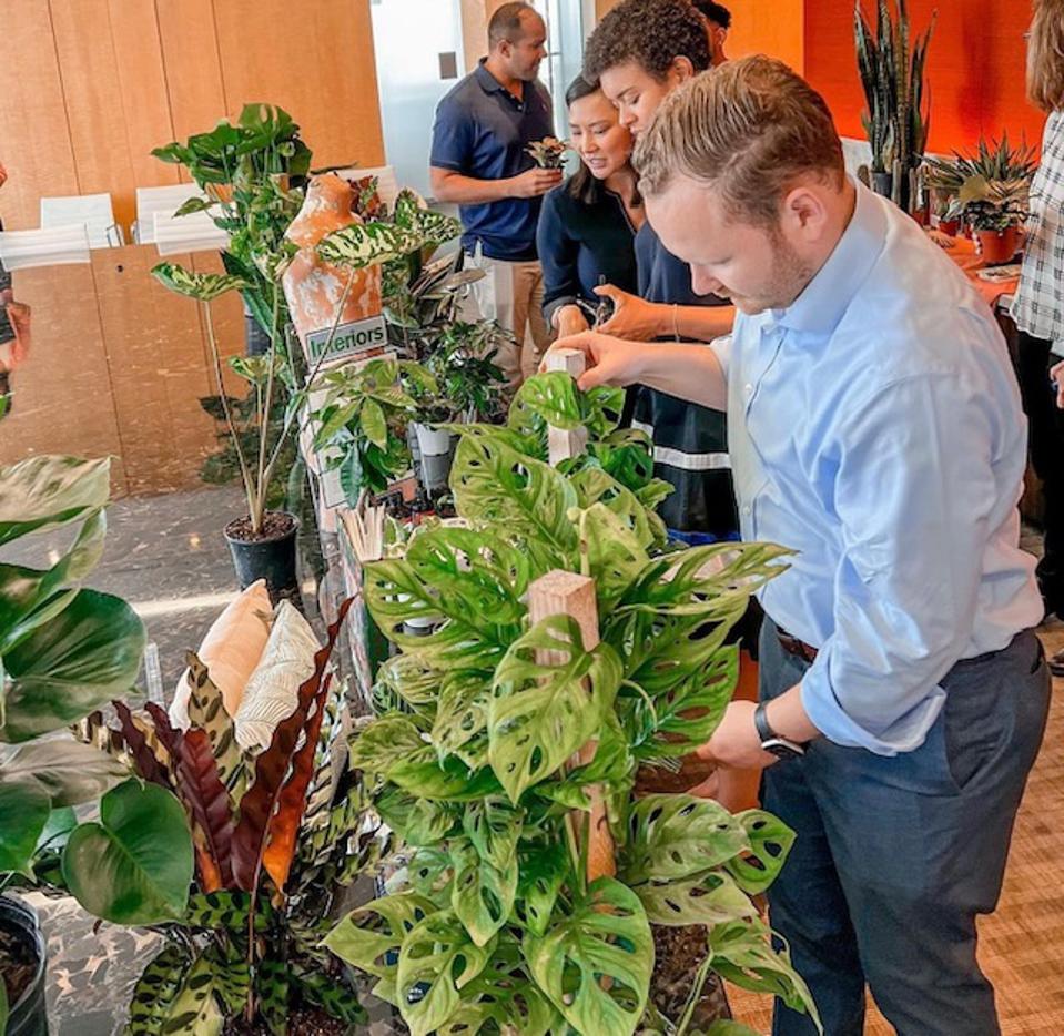 The Iman Project Founder And Creative Director Bree Clarke Pivots With ...