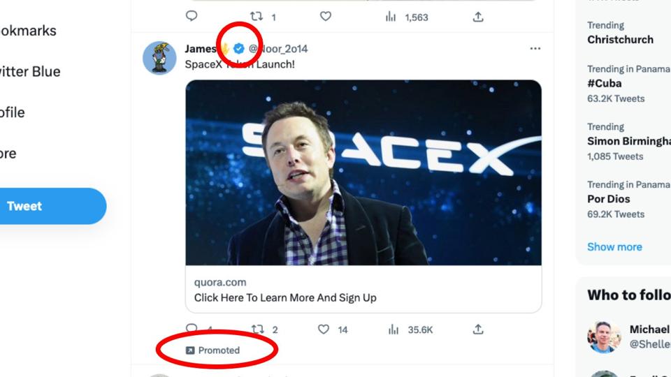 Elon Musk Says Twitter Got Rid Of Scammers But The Ads Prove Otherwise