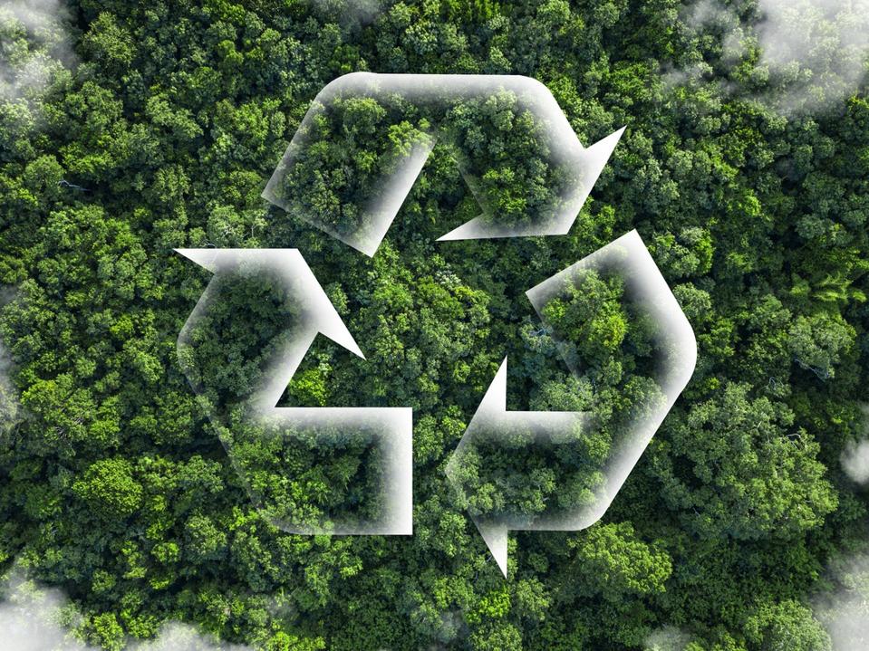 A CEO’s Guide To Circularity: Building A Sustainable Business Model