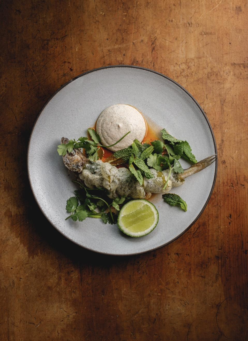 Earth Day Special—For Some Chefs, Kelp has Become Their Favorite Green ...