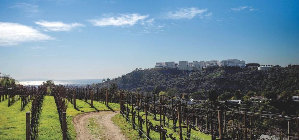 Los Angeles Boasts A ‘Secret’ Winery Estate