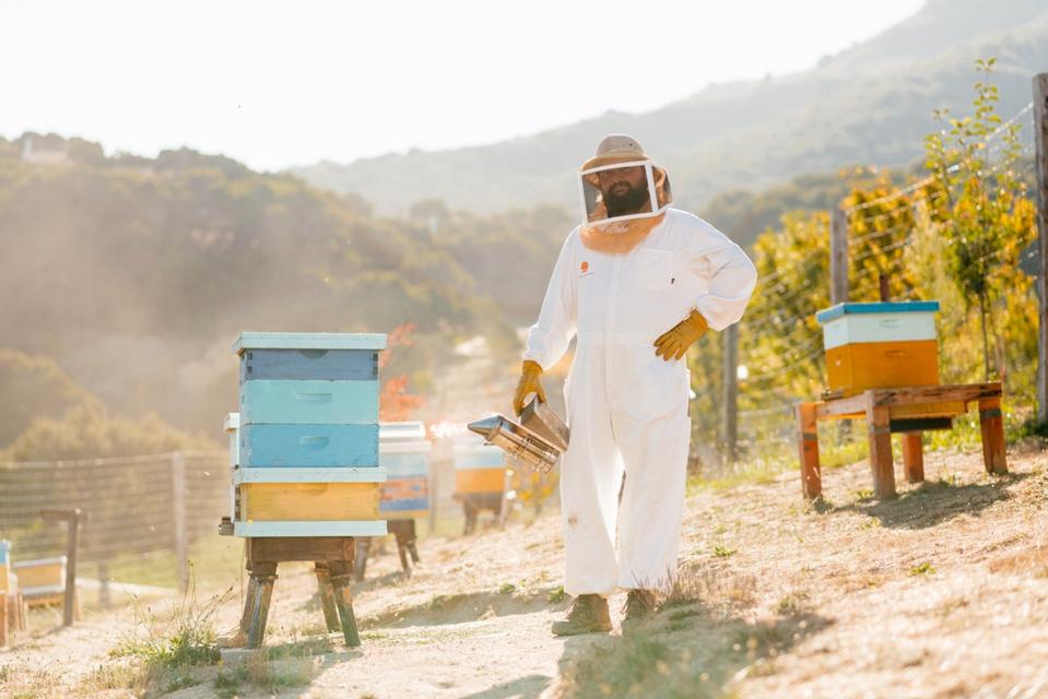 Buzzing With Excitement: 10 Luxury Hotels Celebrating World Bee Day