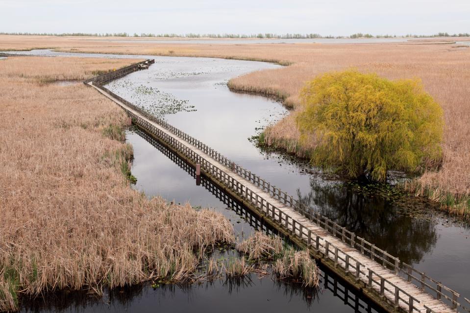 3 Reasons To Take A Road Trip To Point Pelee In Ontario