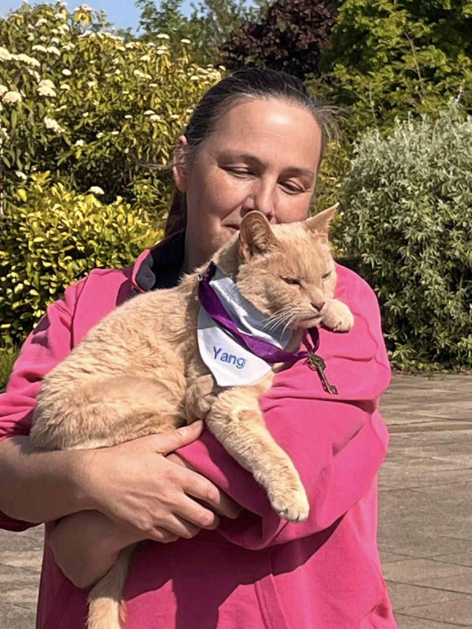 English Town Gives Cat ‘Freedom To Roam’ For Years Of Hospital Service
