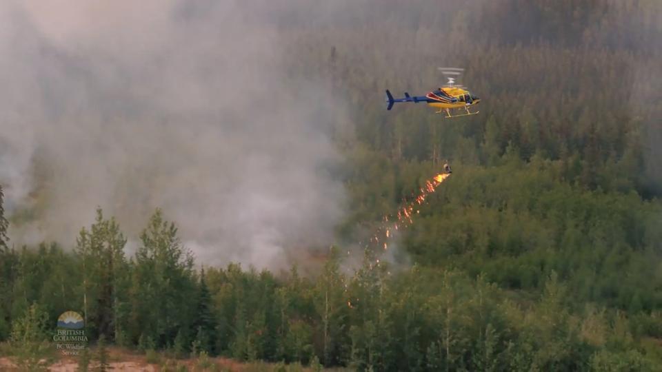 Viral Video Alleging Canadian Wildfires Were ‘Set Up’ Is Misleading