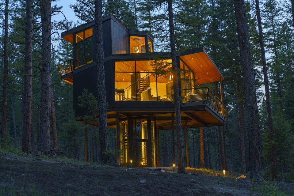 Modern Tree House Colors