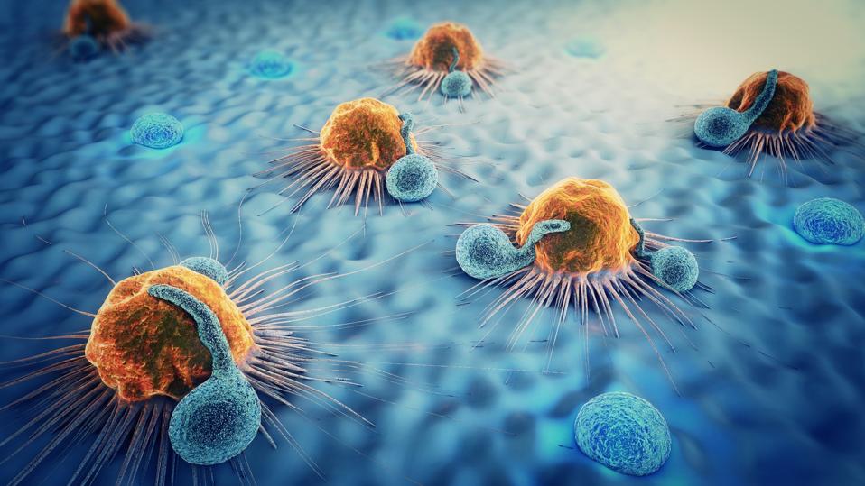 To Kill Again: How Cytotoxic T Cells Attack Target After Target
