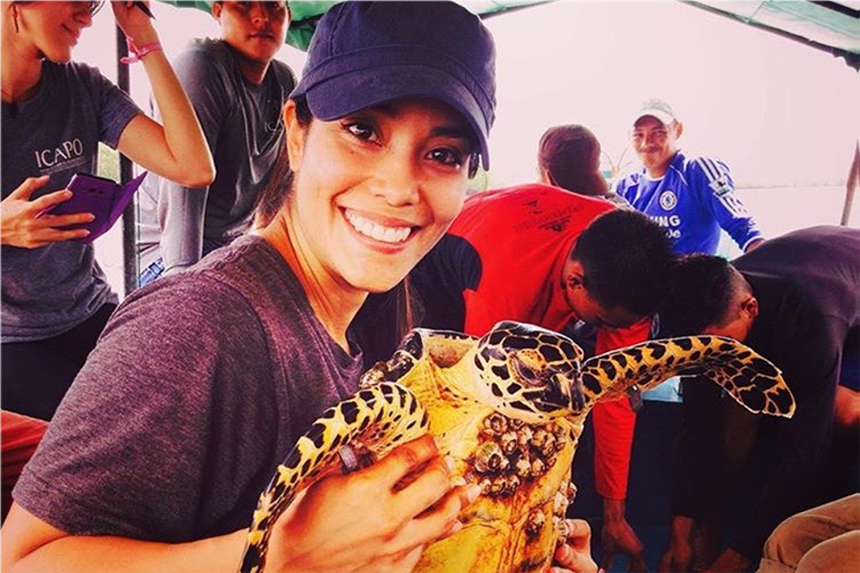 Saving El Salvador’s Rare Hawksbill Turtles