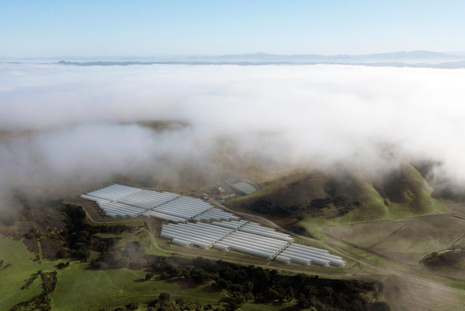 Venterra Farms Keeps 5th-Generation Family Legacy Alive With Cannabis
