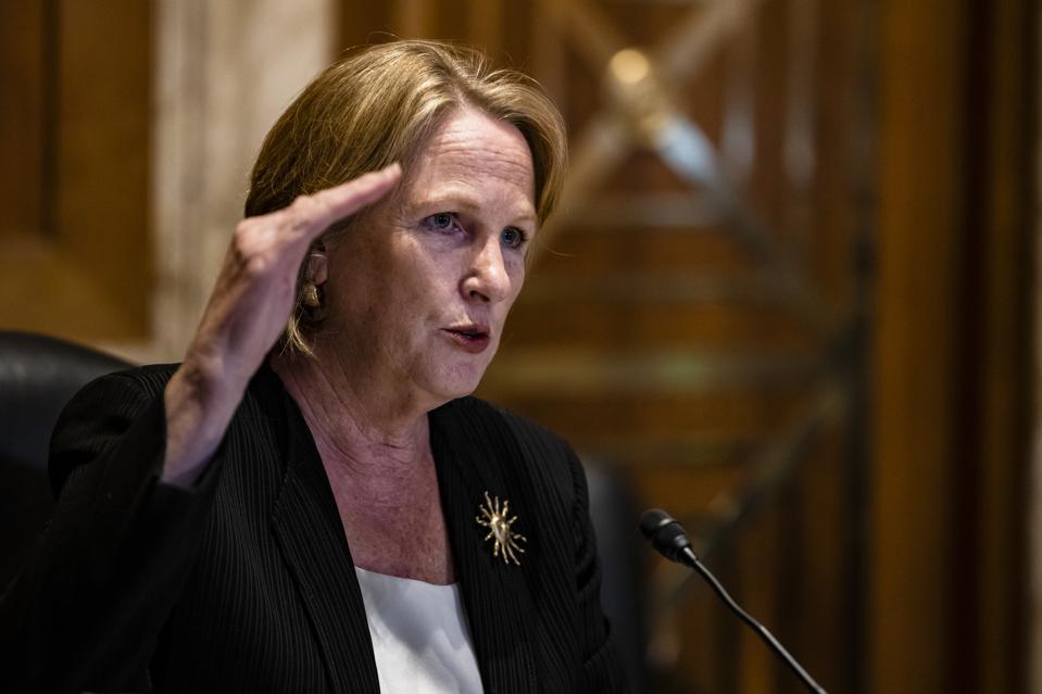 Taxpayer Advocate And Others Weigh In On IRS Decision To Delay Form ...