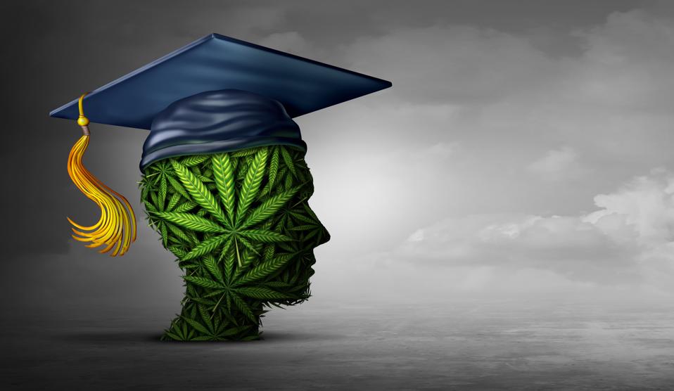 Weed-GPT: A New AI Platform Helps Cannabis Consumers Learn ‘What’s ...