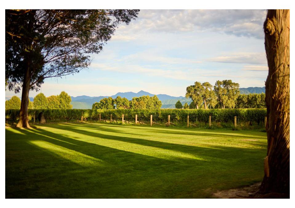 Go Beyond The Glass At Cloudy Bay’s Dreamy New Zealand Winery