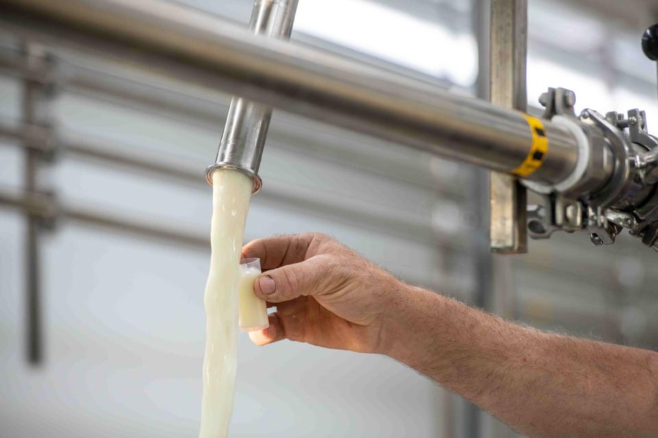 Let’s Consider The Benefits Of Raw Milk.