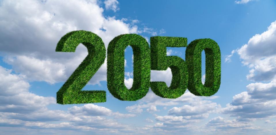 There are clues to 2050 business that can help today's strategists.