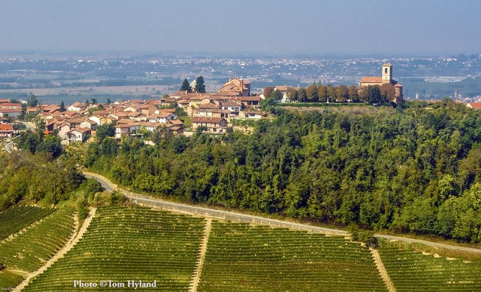 Distinctive Italian Wines That Should Be Better Known