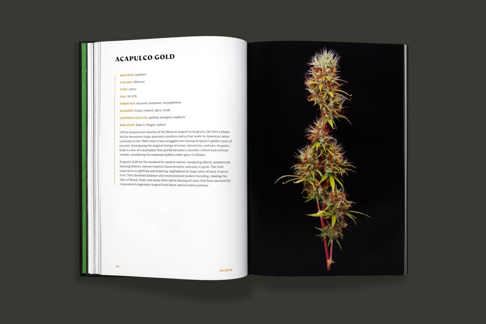 Cannabis Is Ready For Its Closeup: ‘Coffee Table’ Books Are Giving Weed ...