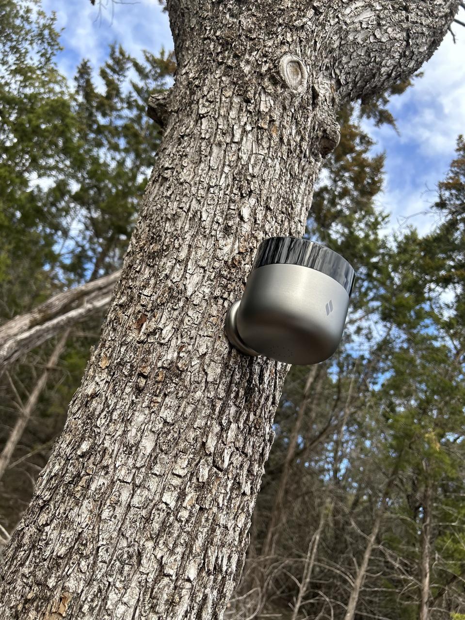 Torch Startup Says Its Outdoor Sensors Can Help Snuff Out Wildfires