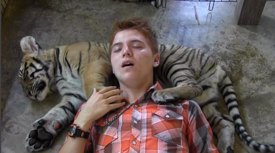 Why Declawing Tigers Or Other Big Cats Is Bad For Their Health