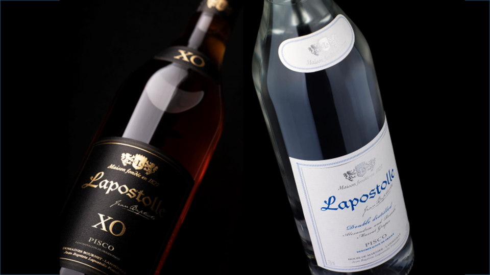 Why You Should Discover Chilean Pisco