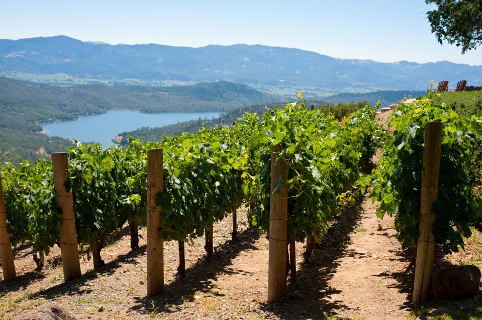 How To Get An Insider’s Look At Napa And Its Wines