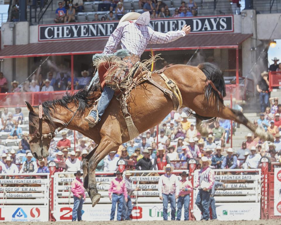 Cheyenne Frontier Days: Making Your Cowboy Dreams Come True In Wyoming