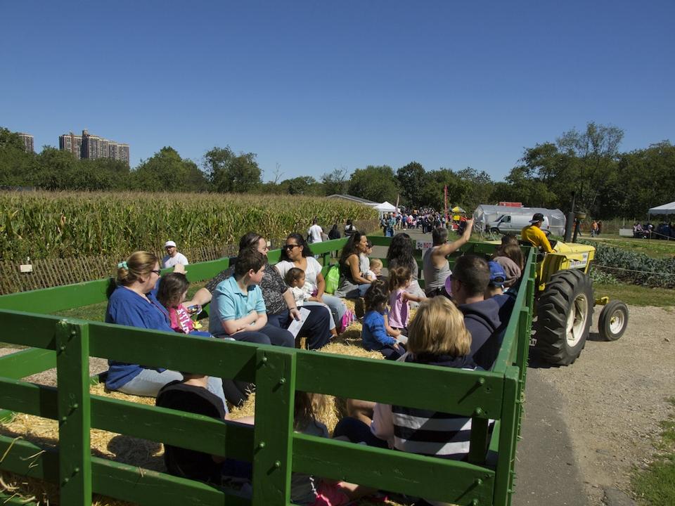 Queens County Farm Museum Marks Fair’s 40th Year