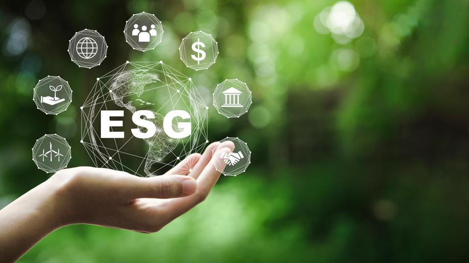 How To Create A Blueprint For Your Company's ESG Journey