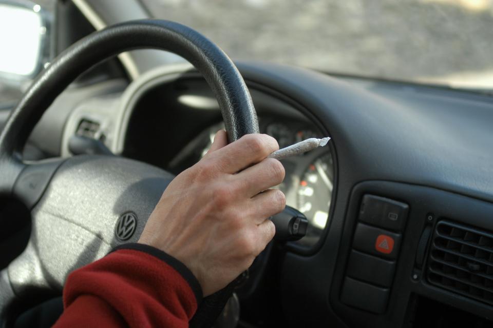 AI Assistant Forges Future Of Cannabis Delivery, Tailoring Suggestions