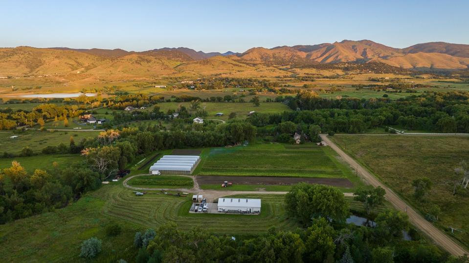Boulder County’s Largest Flower Farm Comes To Market At $9.75 Million