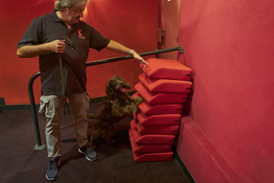 How Paris’ Reputedly Epic Bedbug Infestation Rolls To London (And On To ...