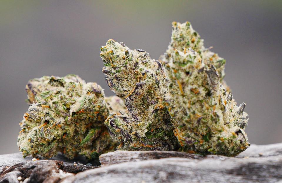 Hawaiian Cannabis Company’s CEO Talks Inter-Island Commerce