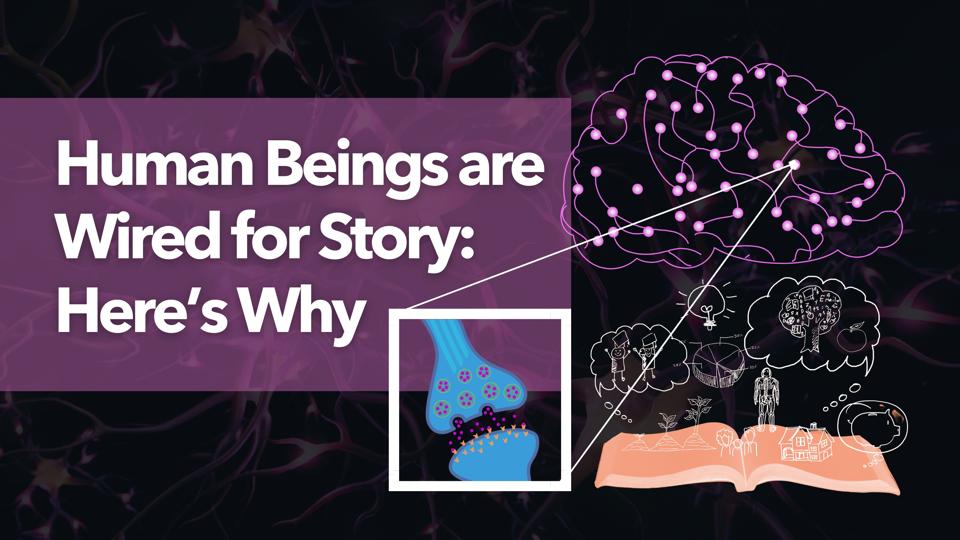 Human Beings Are Wired For Story: Here’s Why