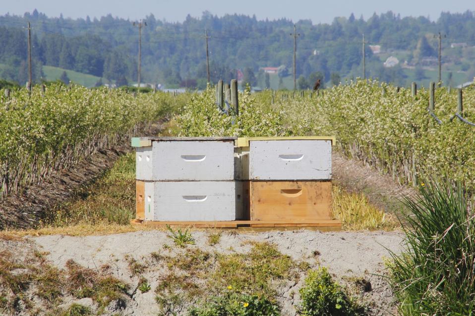 Nature plays a major role in our economy and addressing climate change