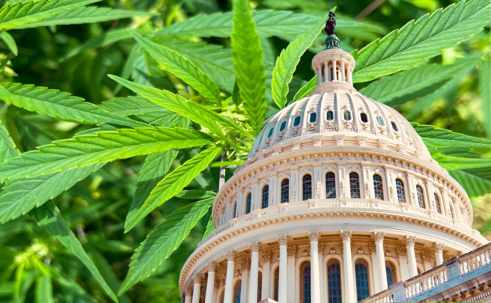 New Bipartisan Bill Calls For Federal Cannabis Legalization Plan