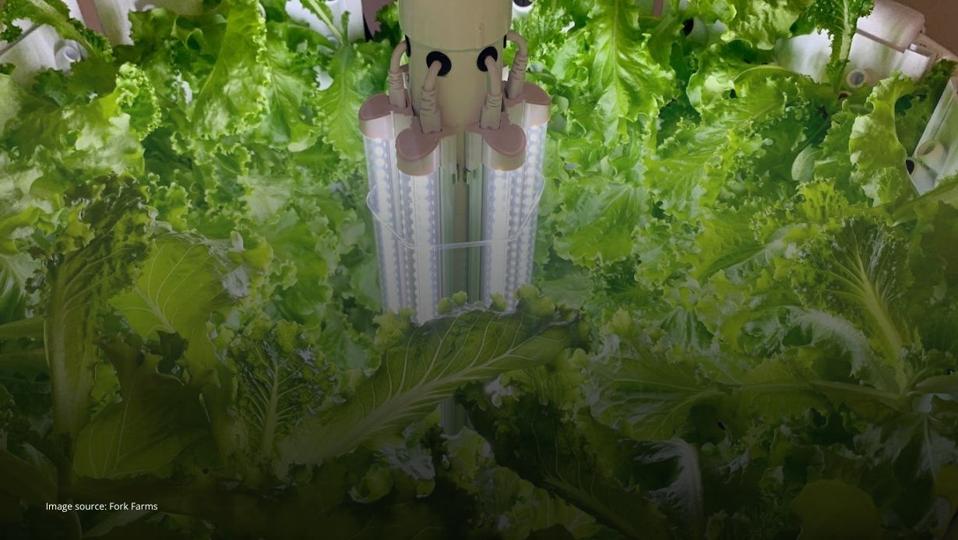 Climate Resilient ‘Flex Farms’ Come To The Caribbean