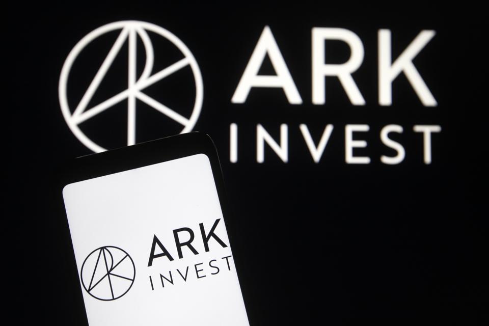 Cathie Wood's ARK Innovation Fund Retains Loyal Losers For Now