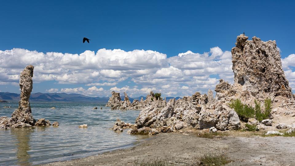 Mono Lake: 10 Things To Know Before You Go
