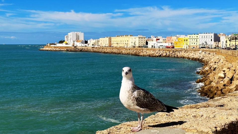 Things To Do In Cadiz: Spain Cruise Port Guides