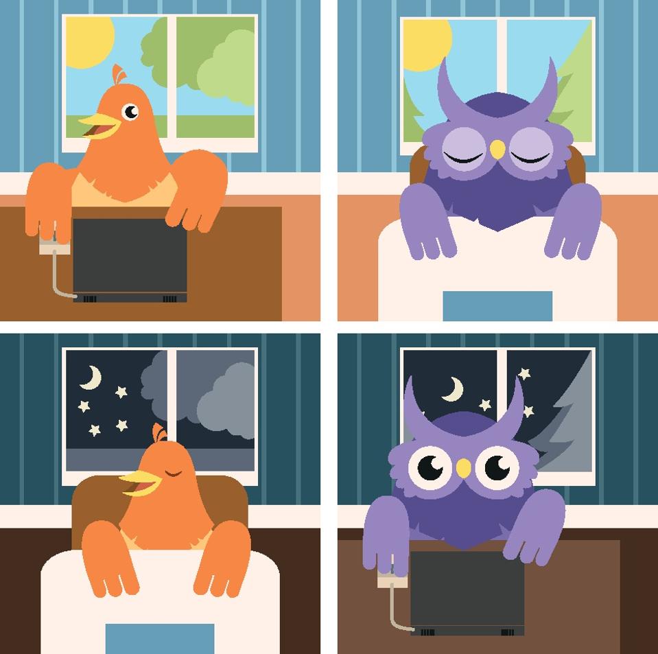 A Psychologist Settles The ‘Night Owl’ Versus ‘Early Lark’ Debate