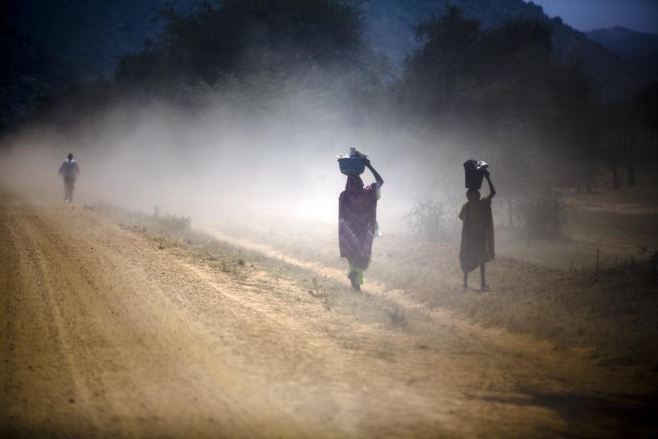 Migration and Climate Change—the Shaded Spectrum