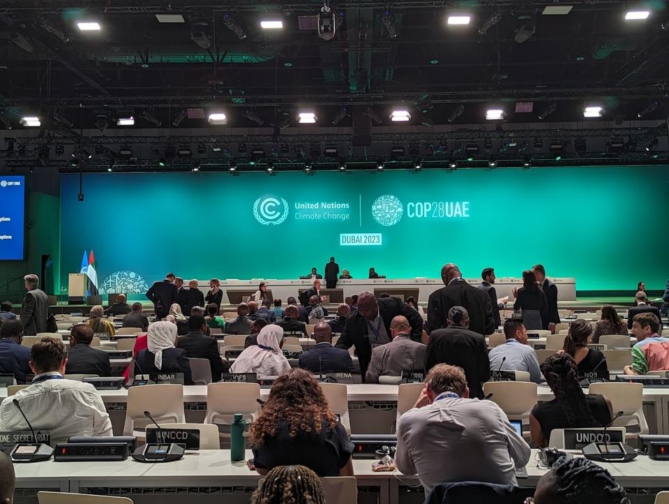 Why Carbon Removals Are Center Stage At COP28