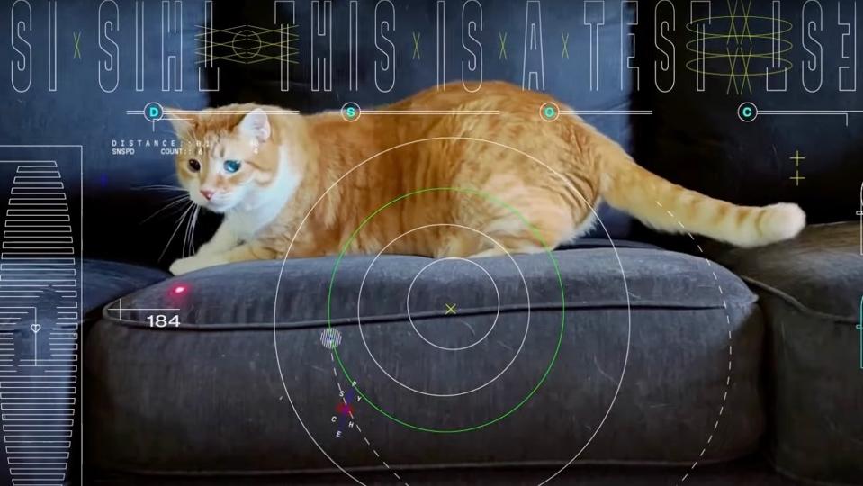 See The Cat Video NASA Laser-Beamed Across 19 Million Miles Of Space