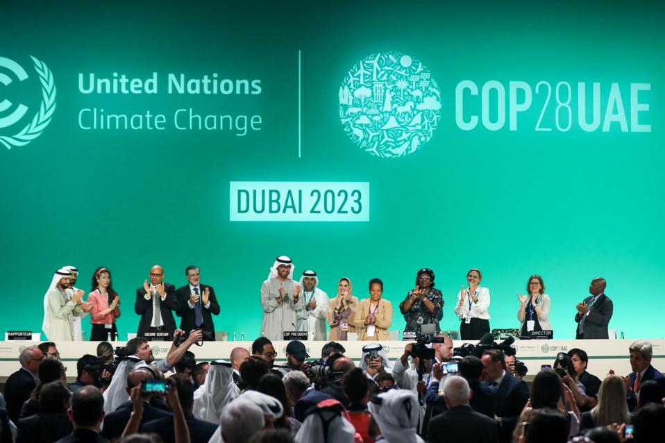 Back To Nature At COP28: Restoration Strategies To Combat Climate Change