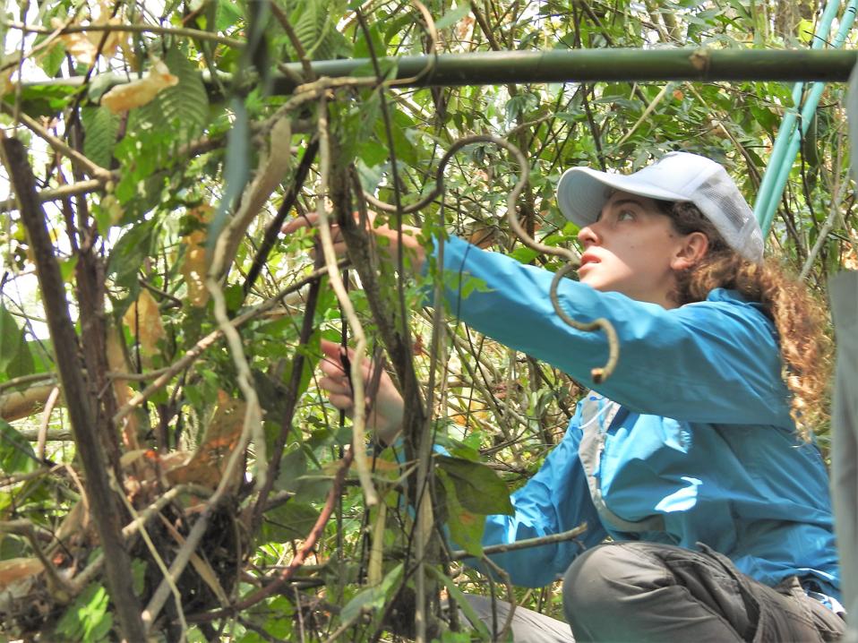 Connect The Dots: Finding Links Between Colombia’s Protected Areas