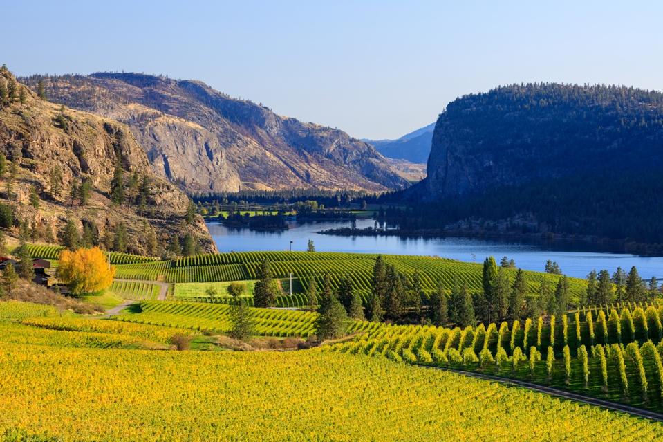 Discover 6 Reasons To Explore Canada’s Hidden Gem: Thompson Okanagan