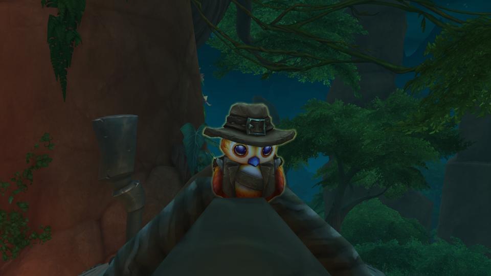 Where To Find The New Pepe Appearances In Warcraft Patch 10.2.5