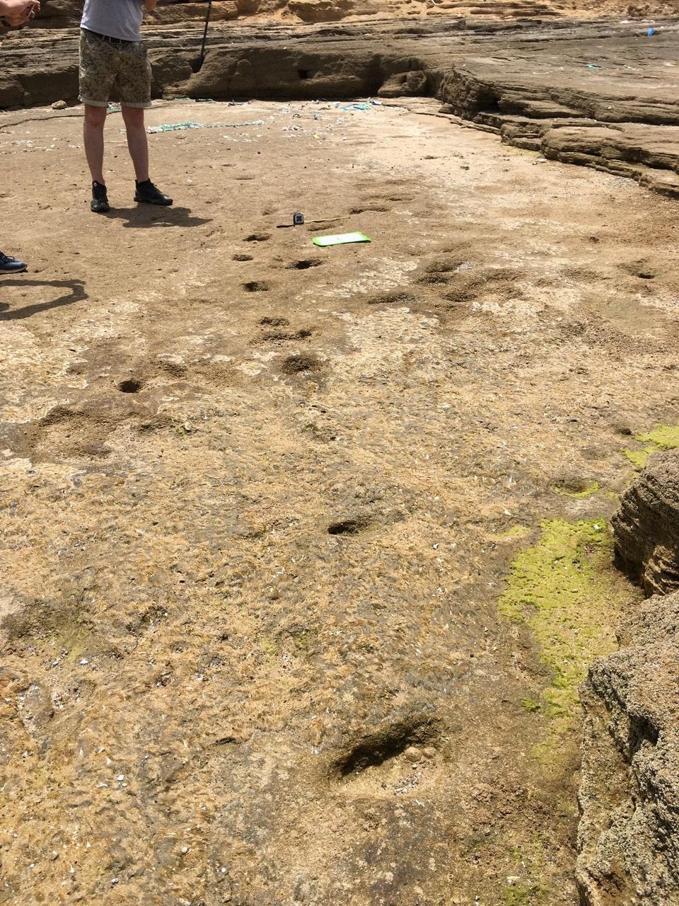 Scientists Chance Upon 90 000 Year Old Human Footprints On Moroccan Beach